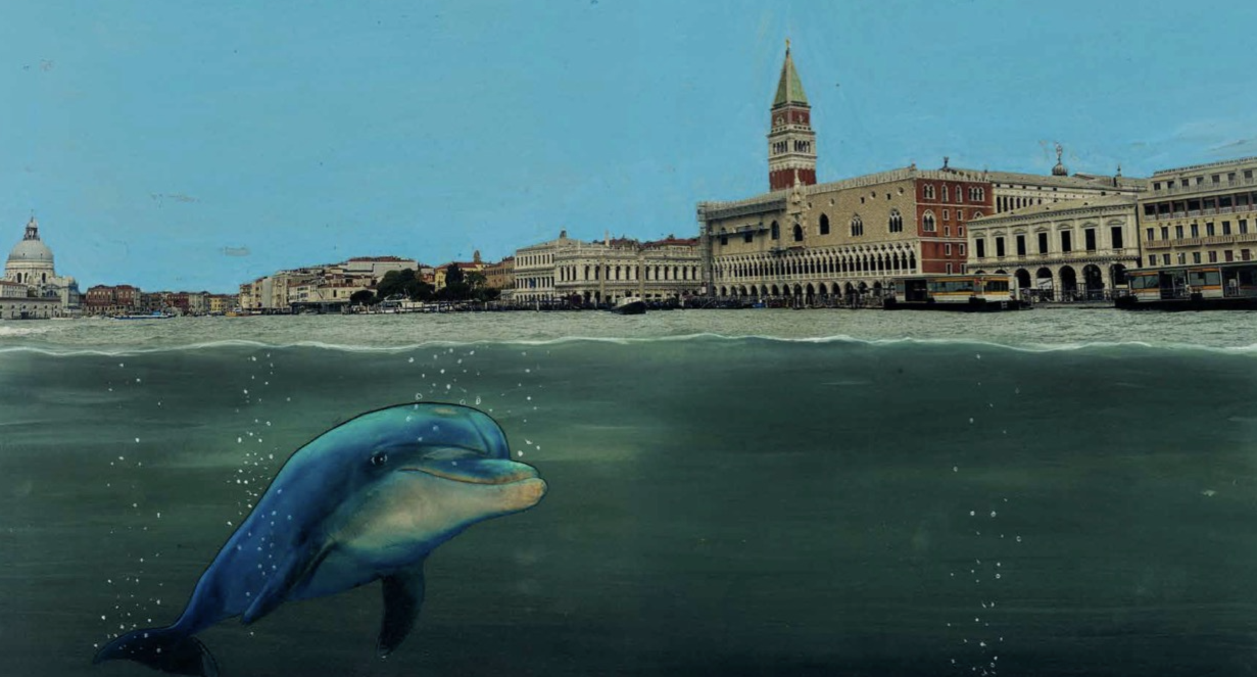 Un delfino per Venezia | Topipittori