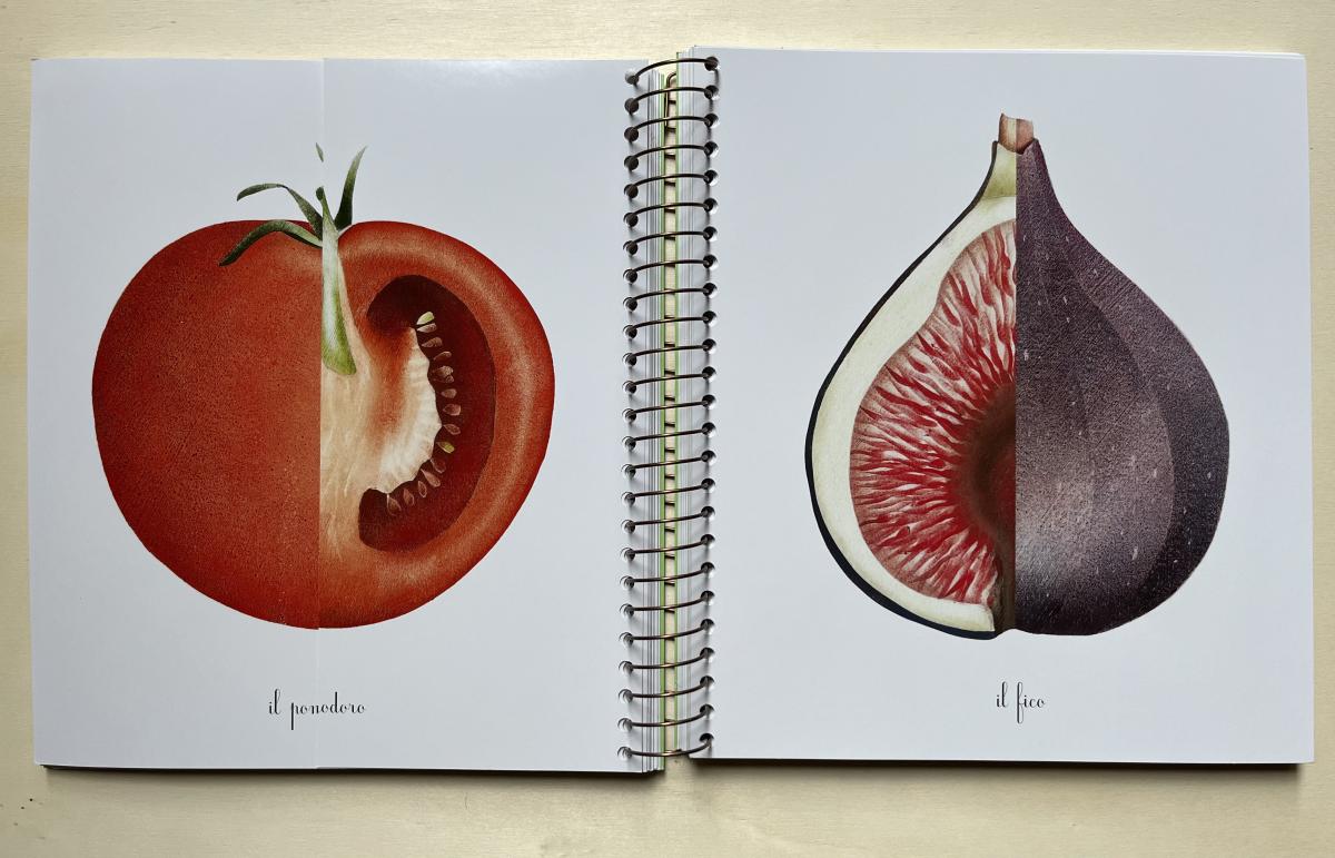 La bellezza delle forme naturali | Topipittori