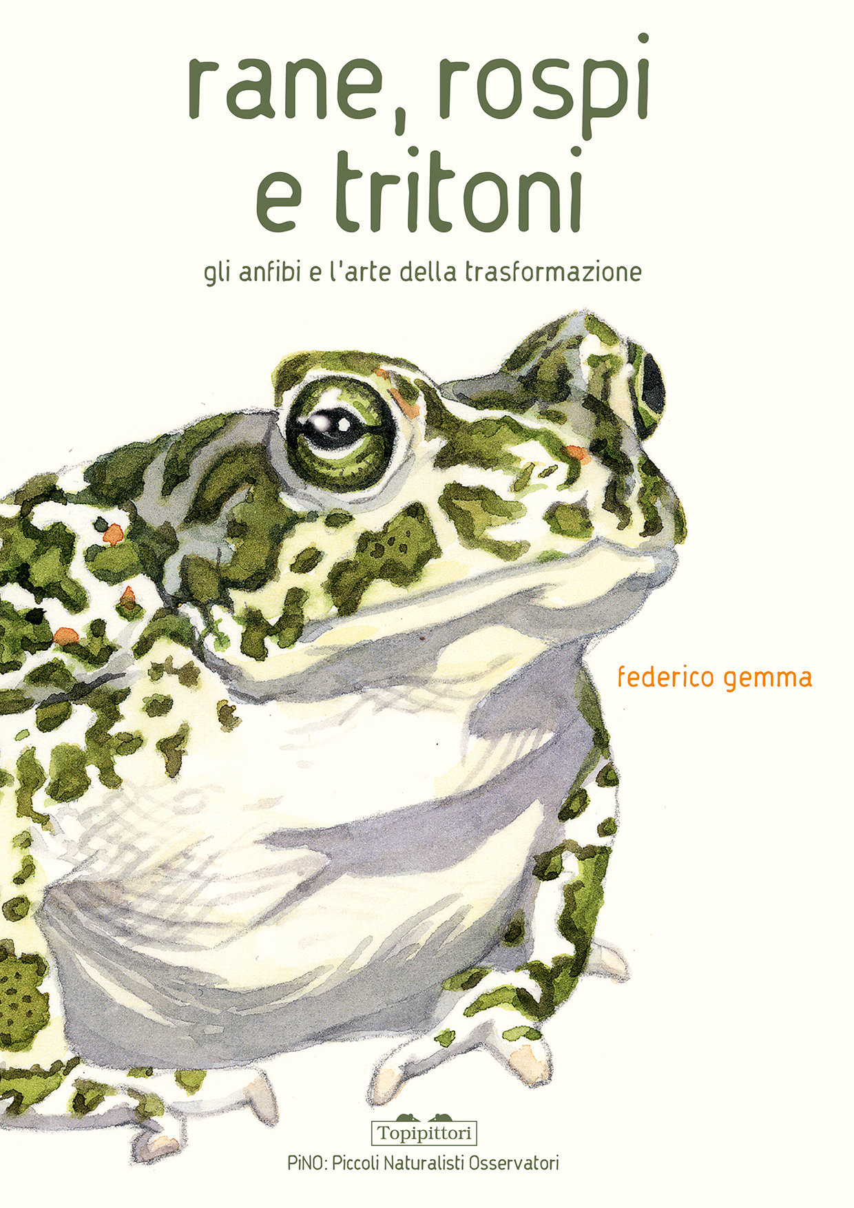 Rane, rospi e tritoni | Topipittori